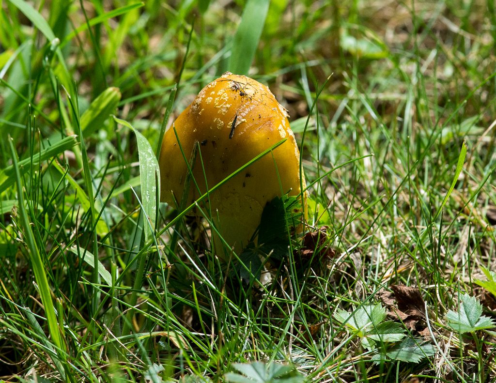 August 2018 – “Somewhere, something incredible is waiting to be known.”